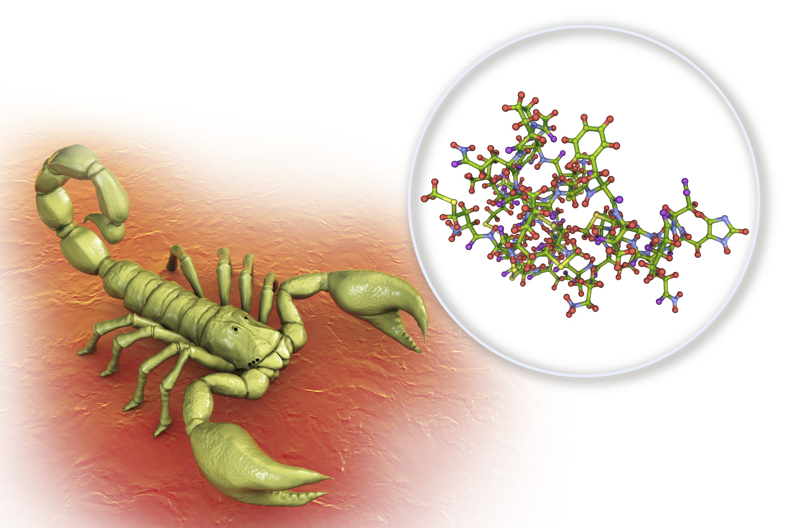 LIMS Software for Engineered Mini-Proteins - LabKey